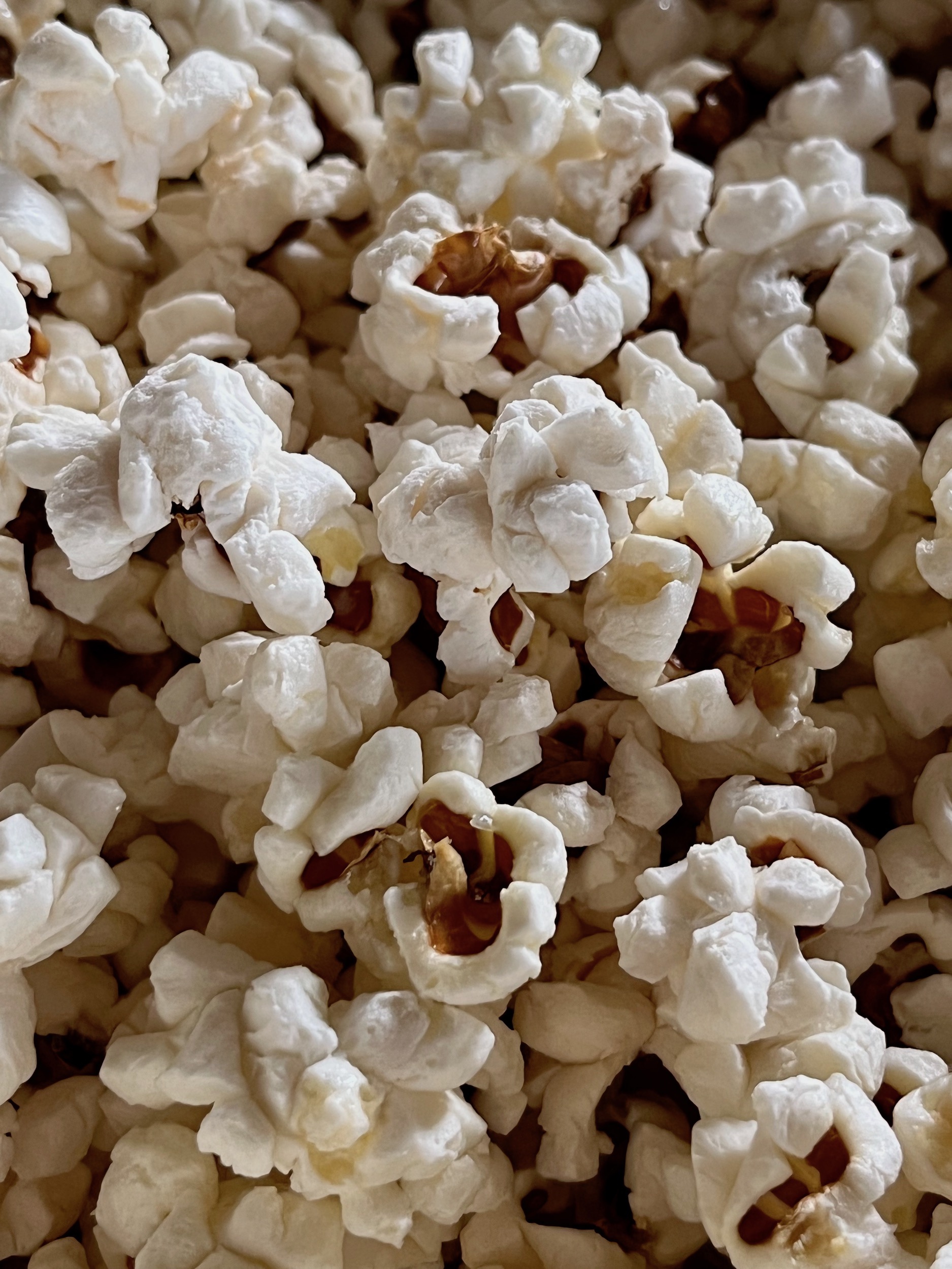 Homemade Stovetop Popcorn – Whole Heartily