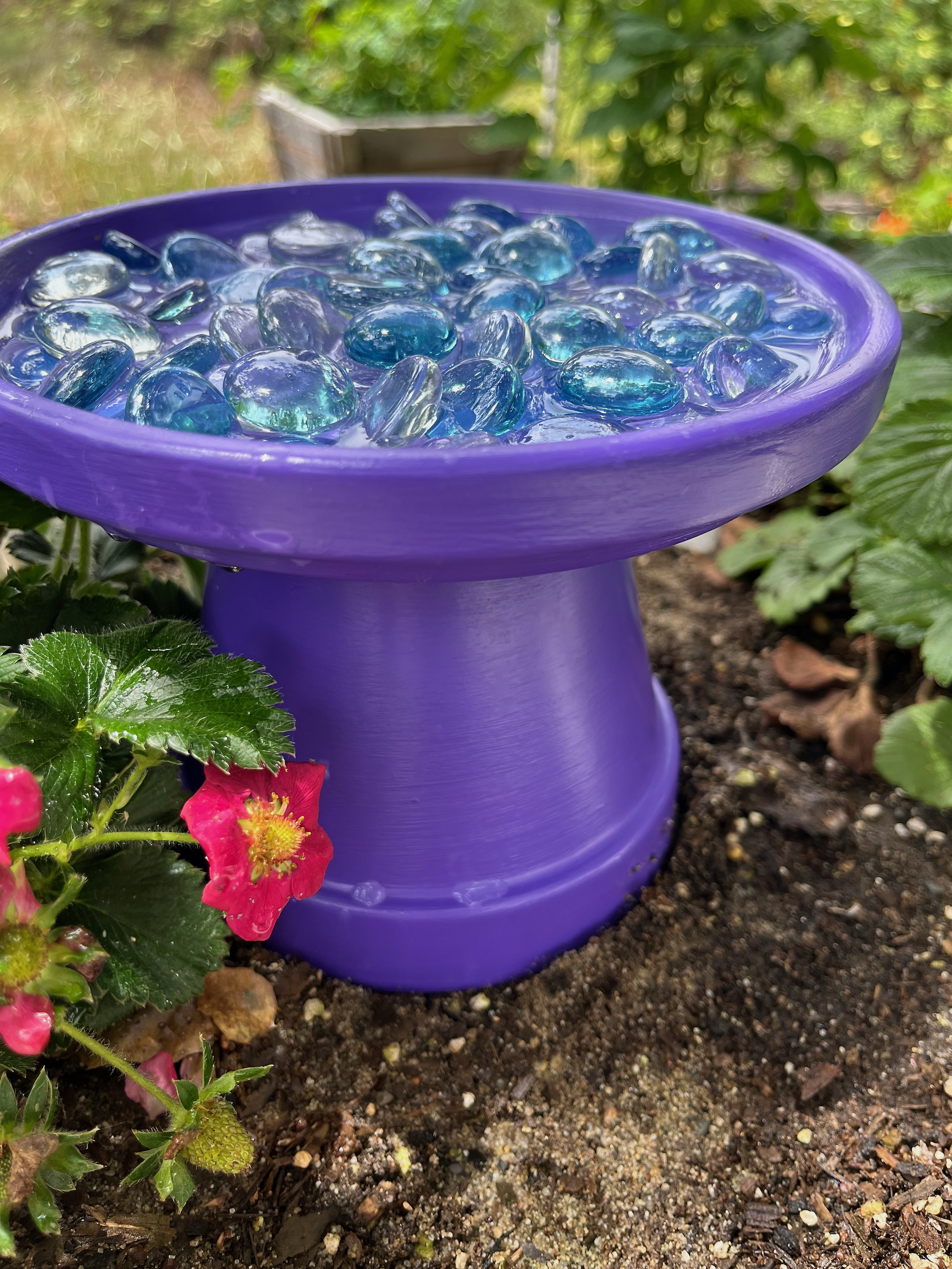 DIY – Bee Watering Station – Whole Heartily