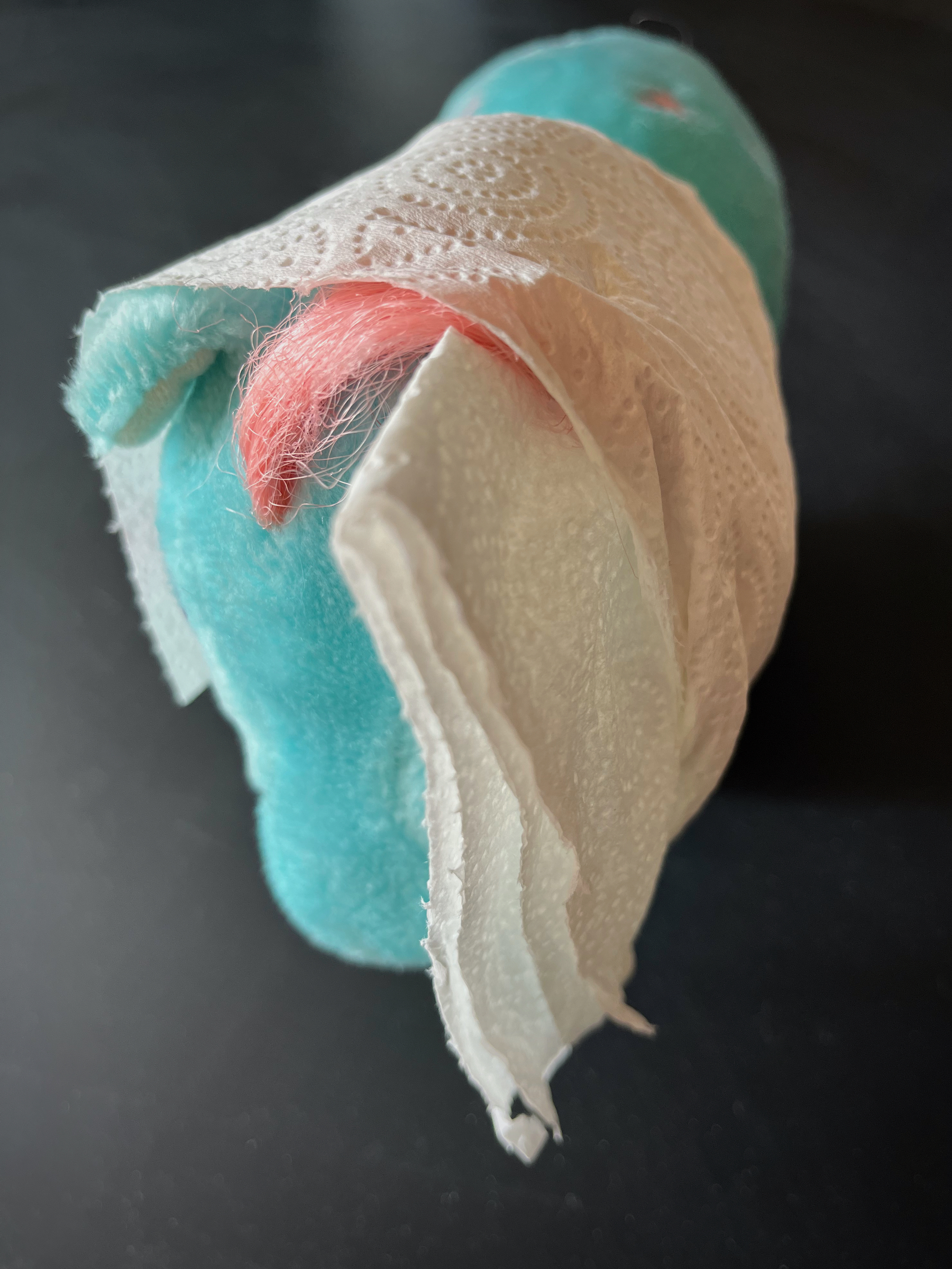 How to Clean – Classic My Little Pony Plushies – Whole Heartily
