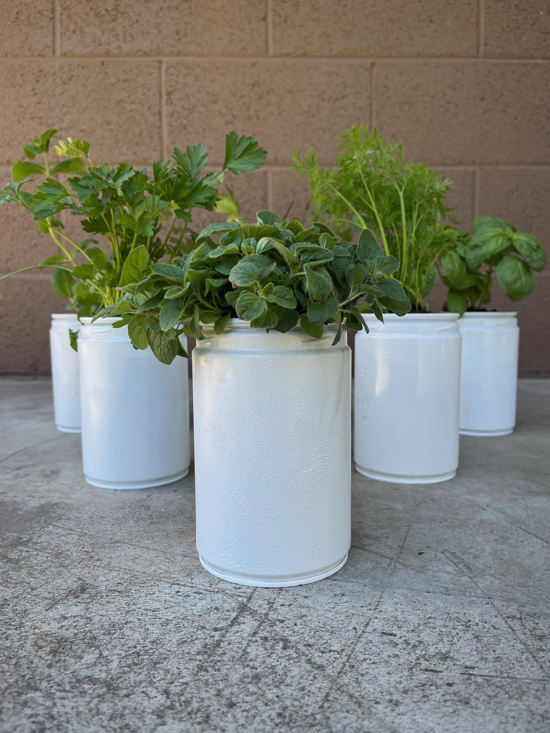 DIY – Up-cycled Coffee Can Plant Containers – Whole Heartily