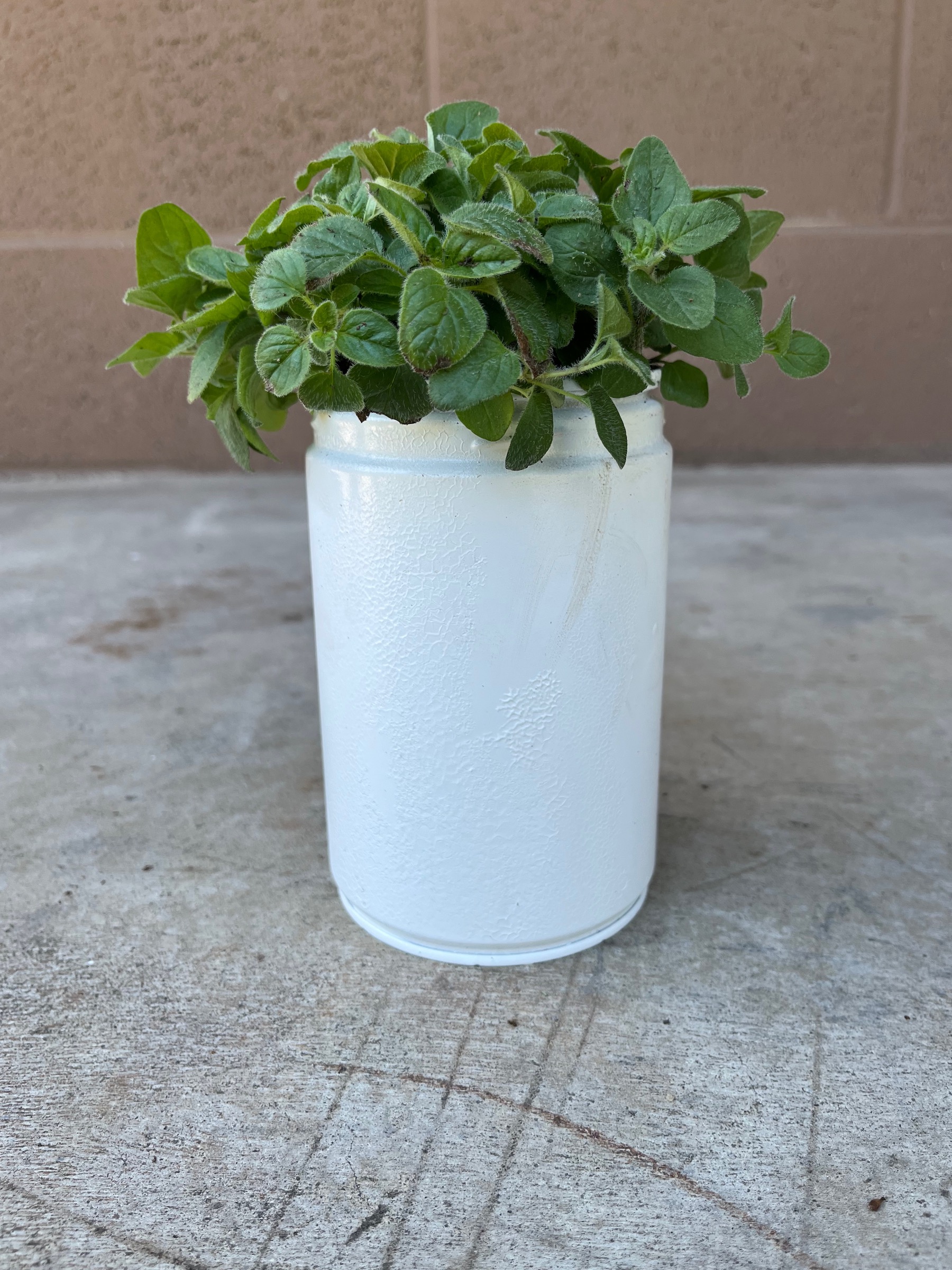 DIY – Up-cycled Coffee Can Plant Containers – Whole Heartily